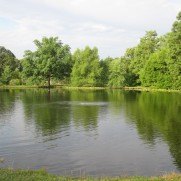 Explore Forest Park in St. Louis, Missouri